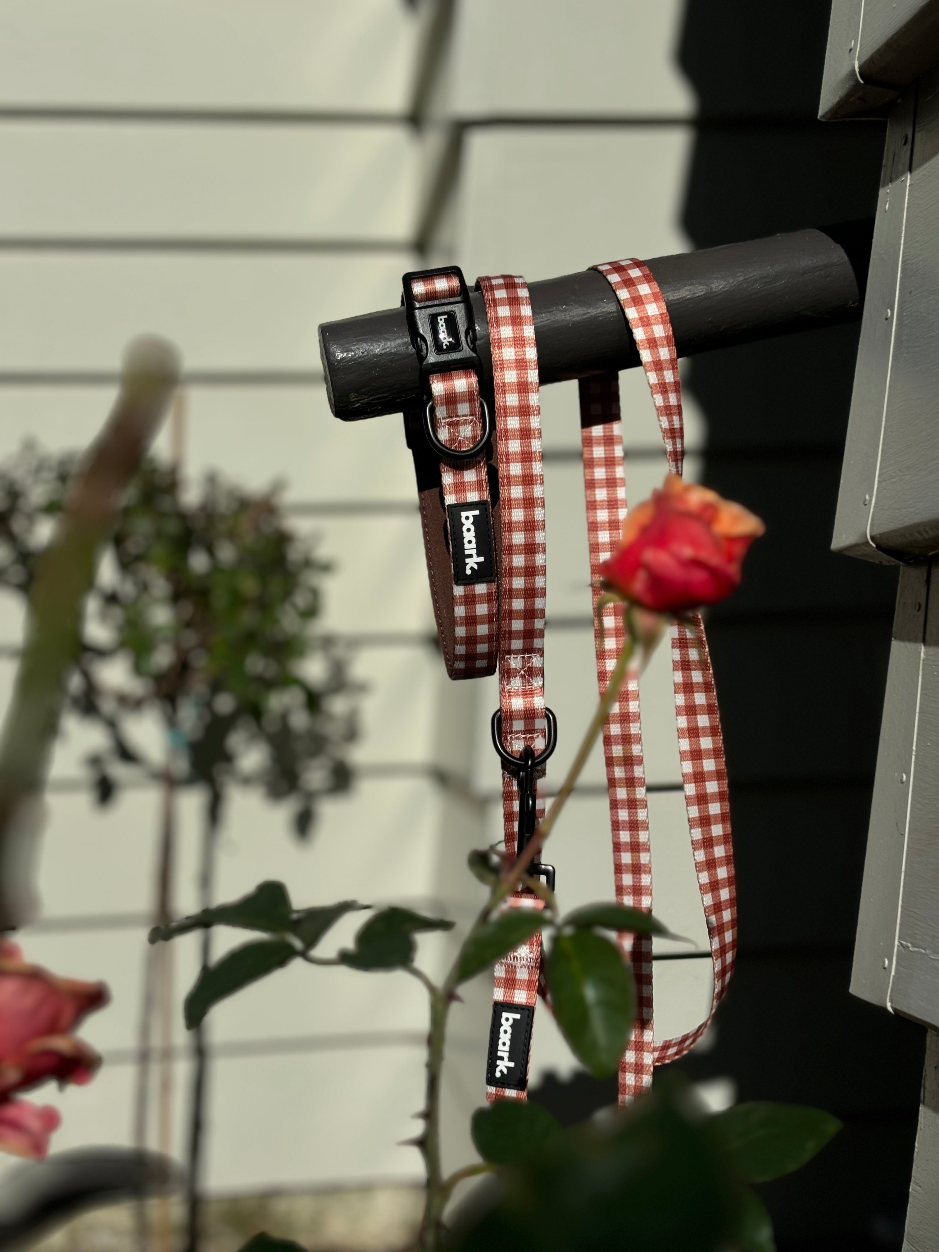 Desert Flannel Lead – Baark.