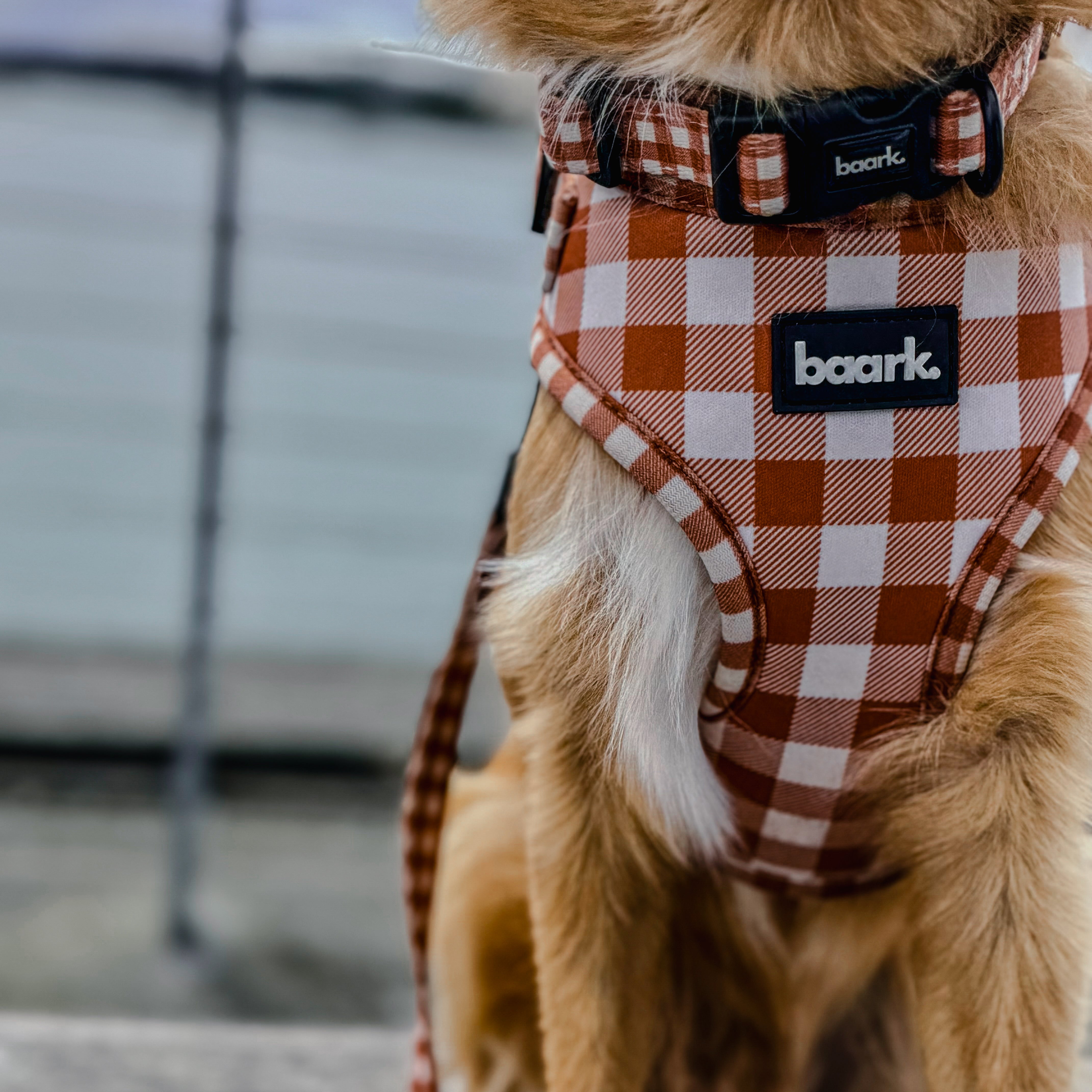 Desert Flannel Harness – Baark.