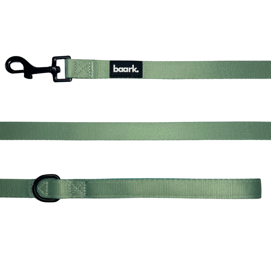 Cool Mint Lead - FINAL SALE – Baark.
