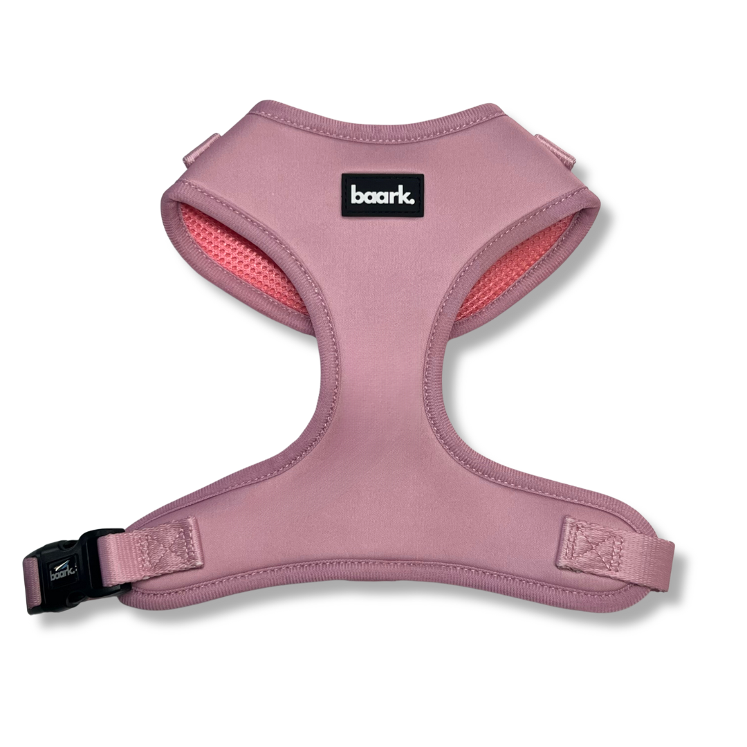 Pretty Pink Harness - FINAL SALE – Baark.